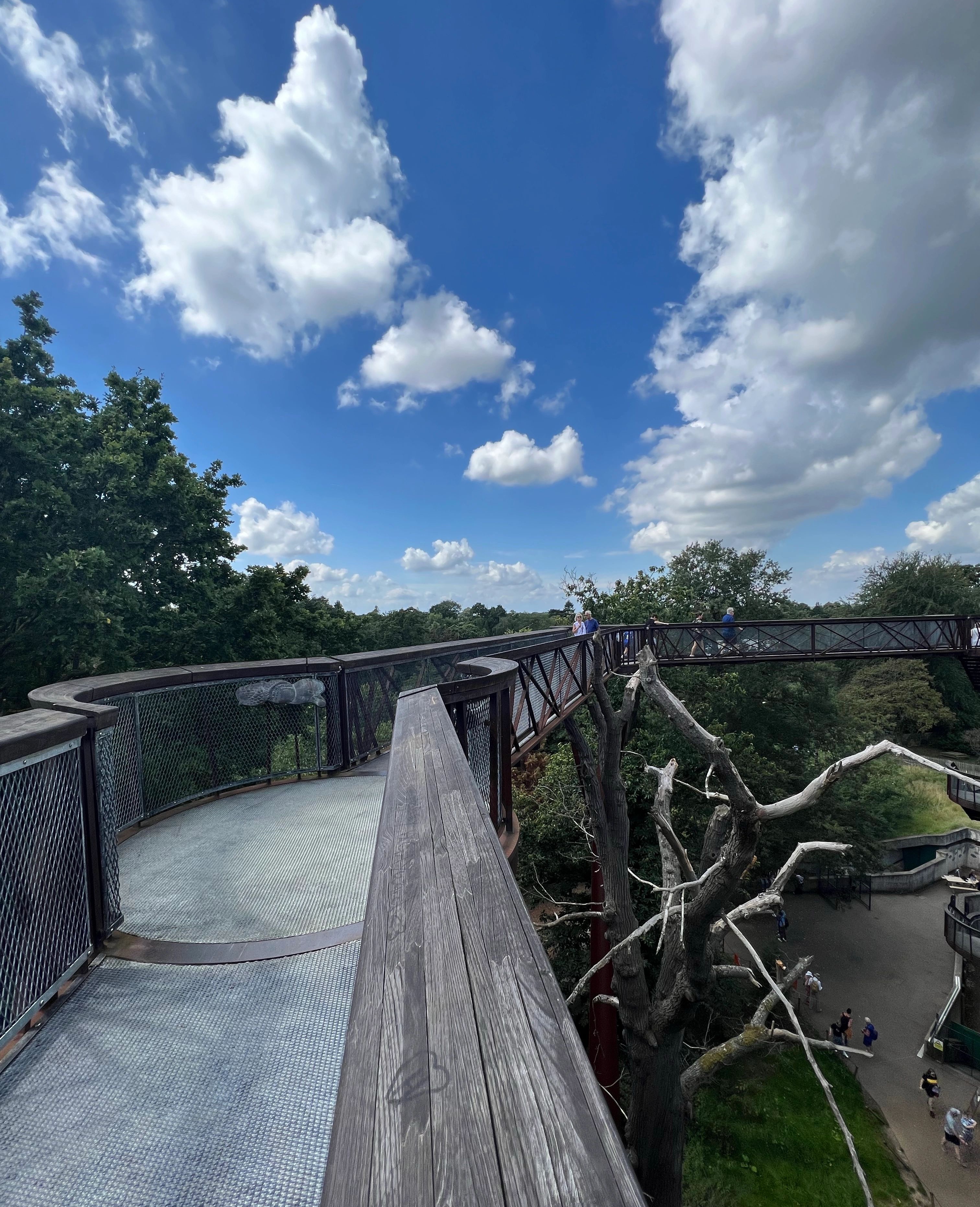 UK Day 12: Tree Top Walkway and Lily Pad House at Kew Gardens – TeamLouka